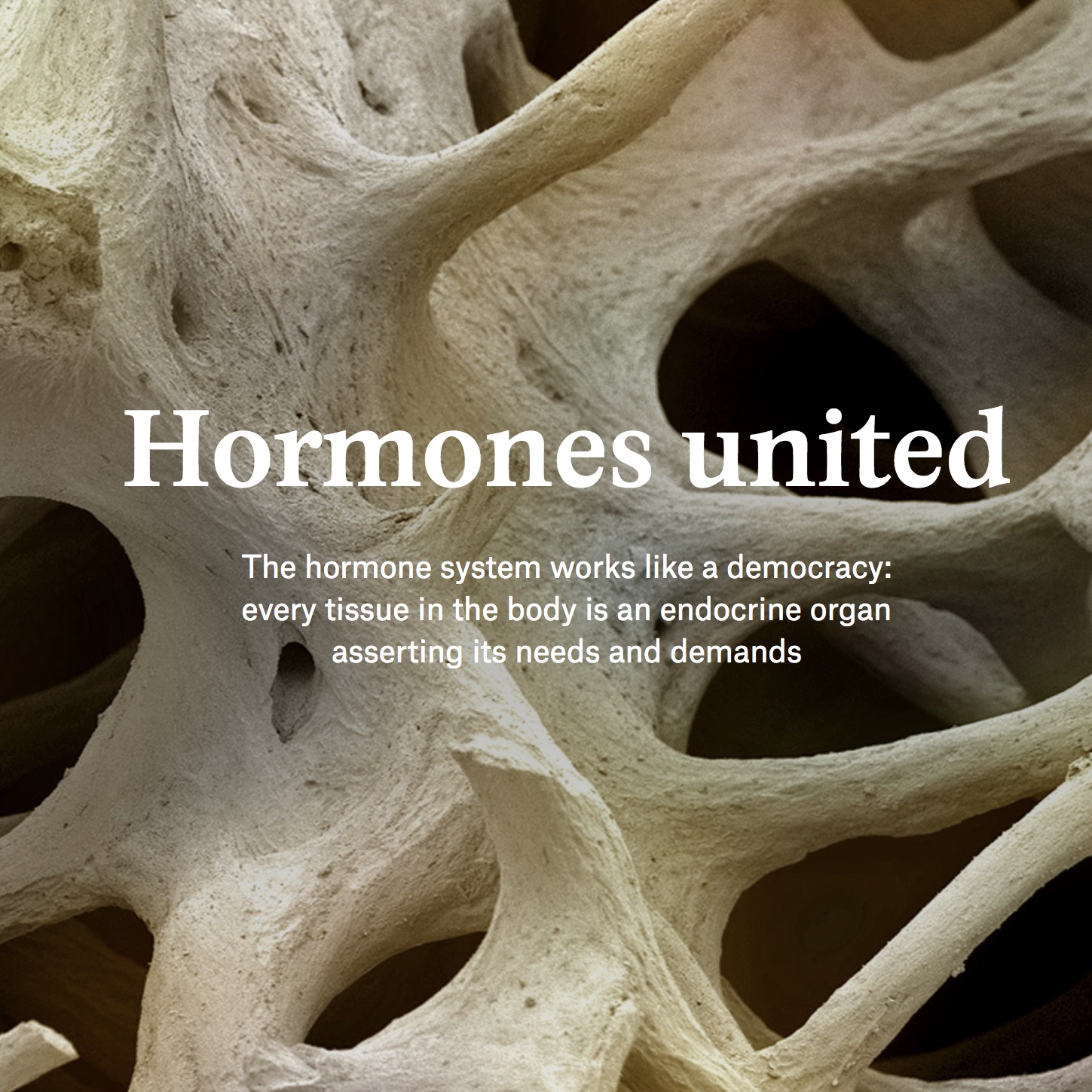 Drosophila biologist Norbert Perrimon featured in article about hormone ...